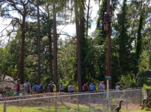 Emergency crews rescue man stuck in tree - Sandhills Sentinel
