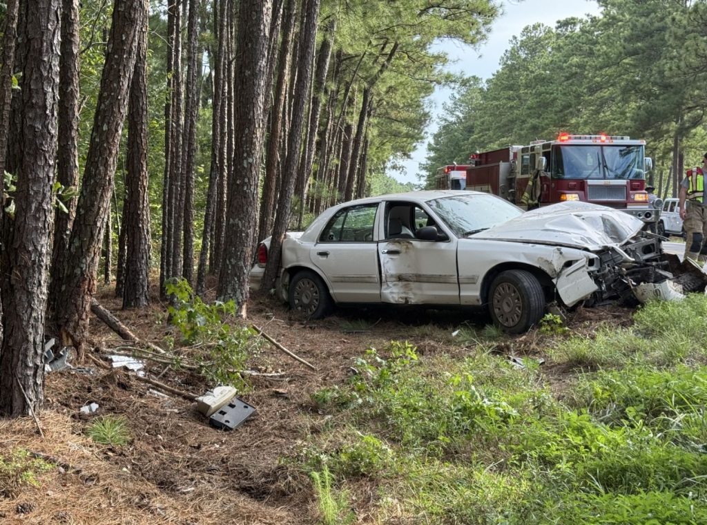 Man injured after high speed crash into trees - Sandhills Sentinel