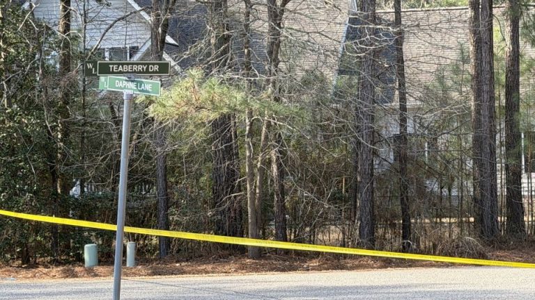 Two dead, suspect at large after Woodlake shooting - Sandhills Sentinel
